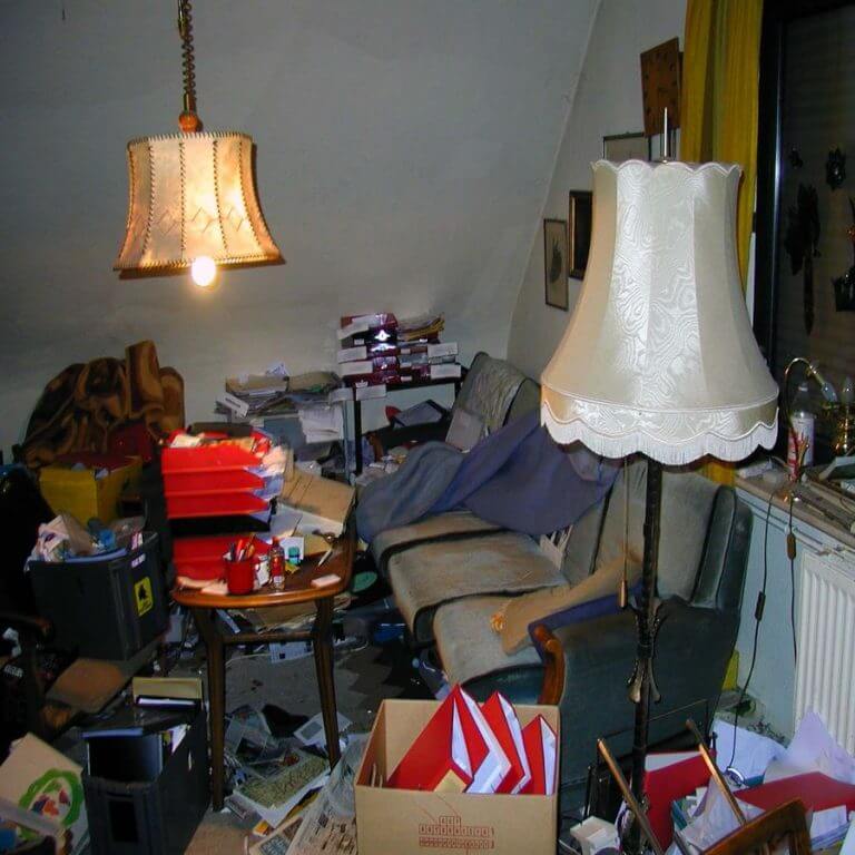 Compulsive Hoarding – Making A Concerted Effort Towards Therapy